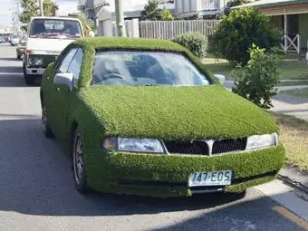 Australian covered the body of his car with a layer of herbs 101328_1