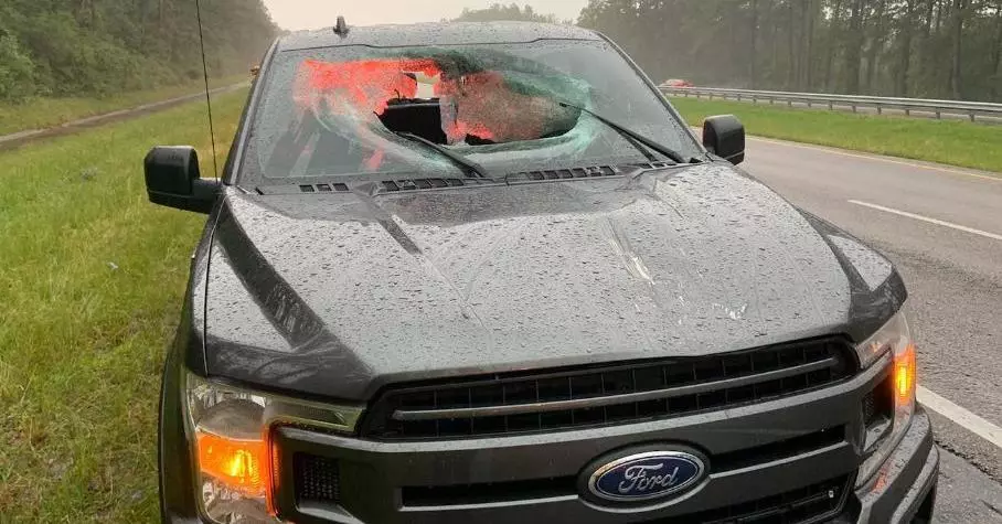 Ikusi zer gertatu zitzaion Ford F-150-ekin, eta Hit Lightning