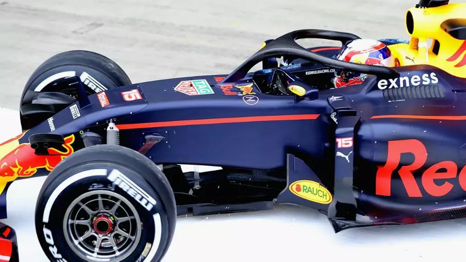 Red Bull Pilot experimentou protector 