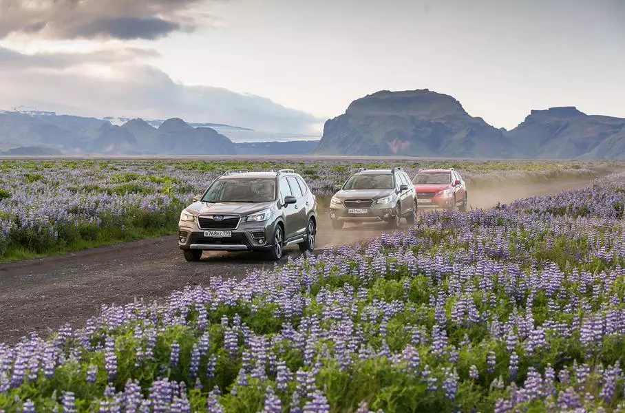 Rejser på Island på Subaru 78195_13